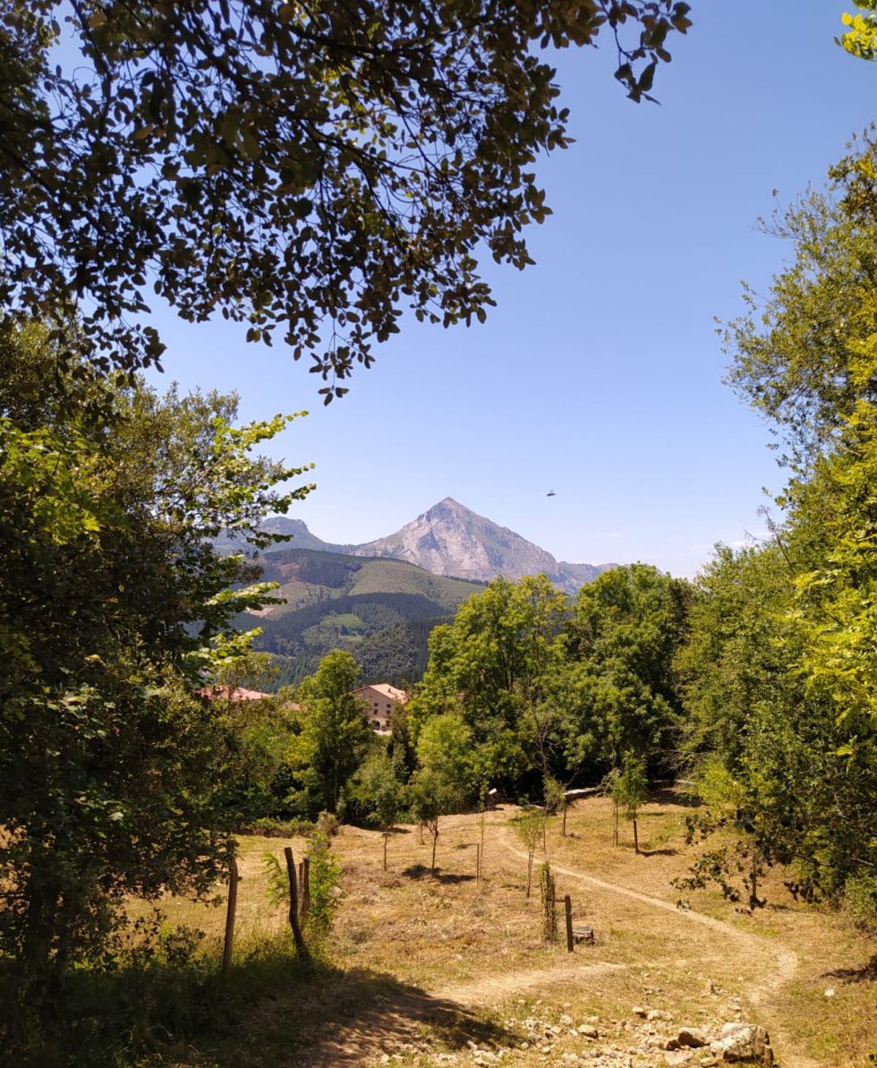 Montes de Elorrio: Intxorta, Udalatx y Erdella | Elorrio Turismo